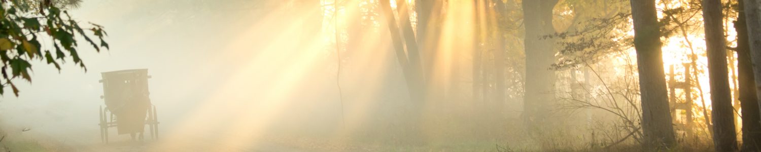 cropped-Buggy-in-Mist-5.jpg | Kathleen McKee